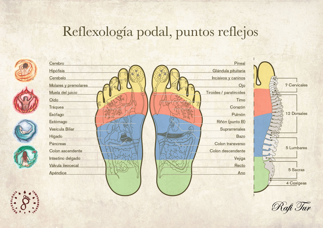 Reflexología Podal :: Namaste3113